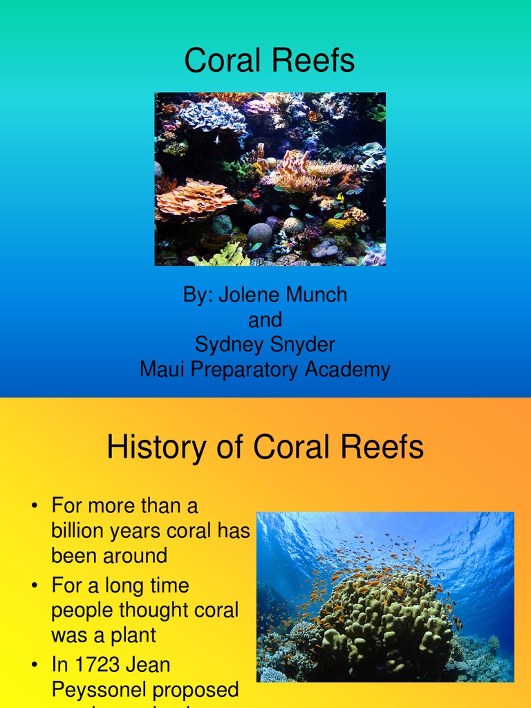 Coral Reefs | PDF