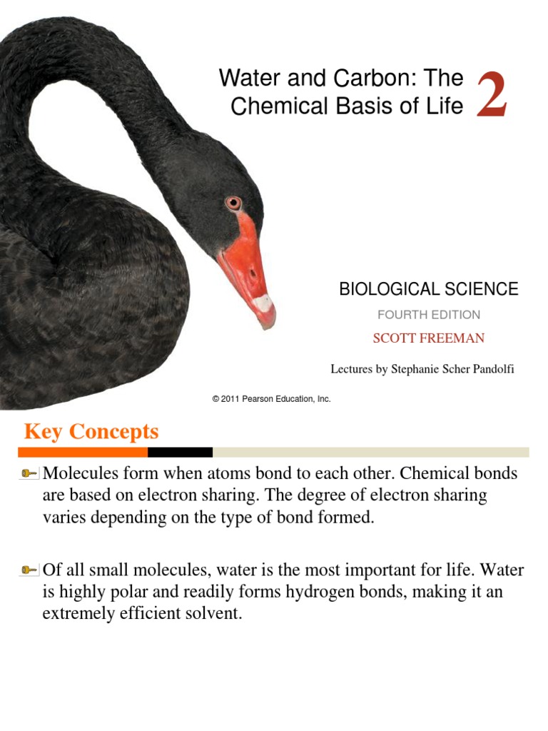 02: Water and Carbon: The Chemical Basis of Life | PDF | Chemical Bond ...