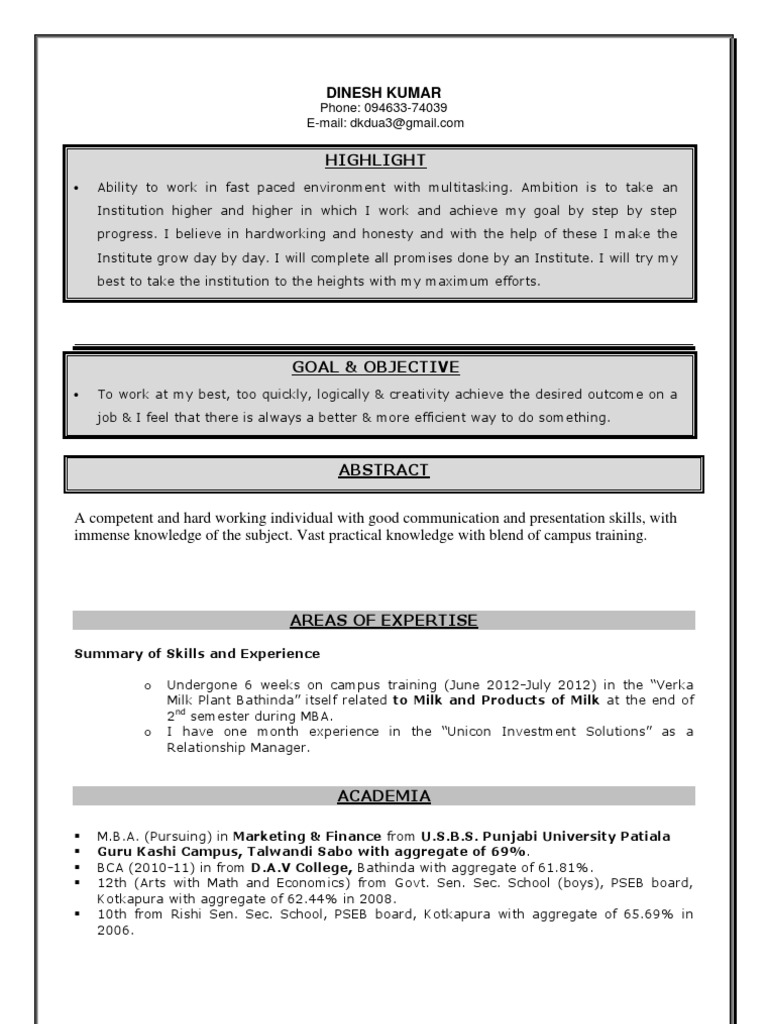 Dinesh Kumar's Professional Resume | PDF | Master Of Business ...