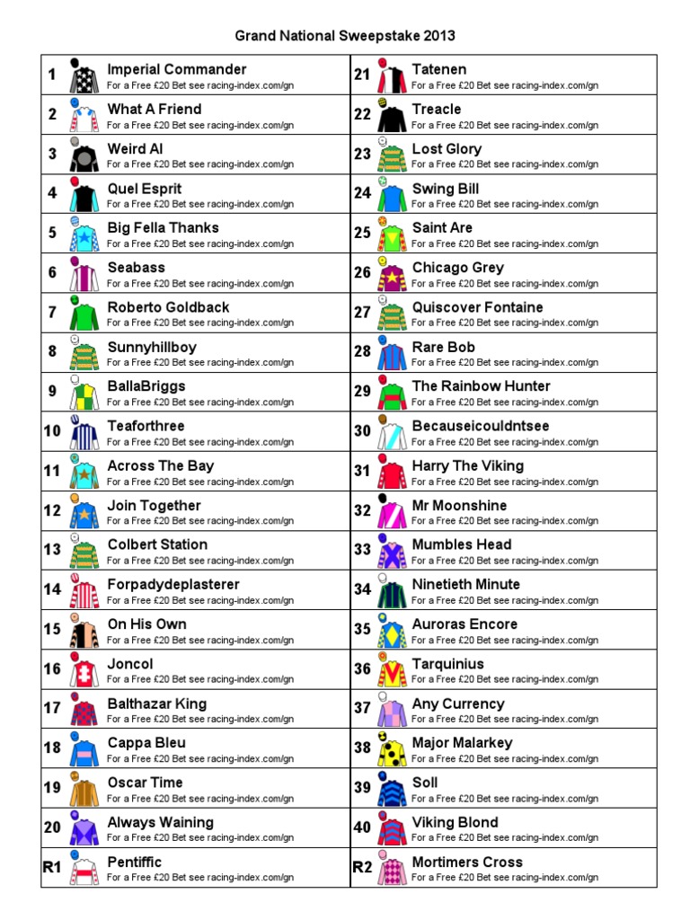 Grand National Sweepstakes 2013 | PDF | Odds | Wagering