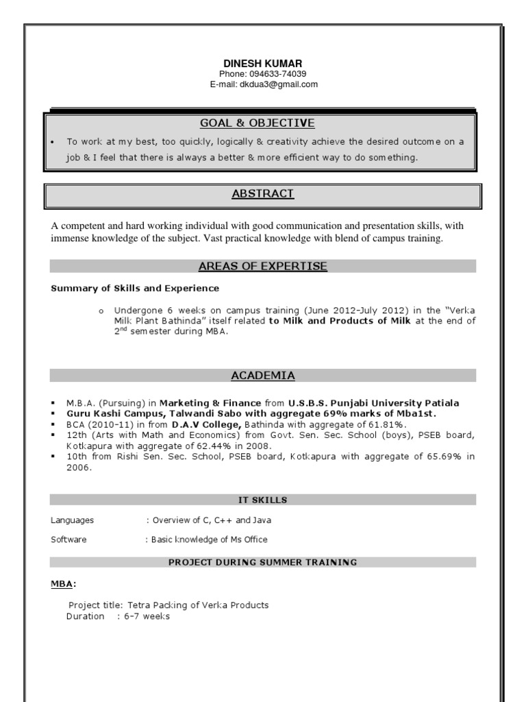 Dinesh Kumar's CV and Profile Summary | PDF