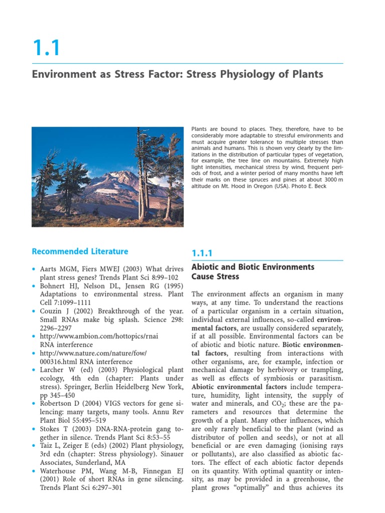 Environment As Stress Factor: Stress Physiology of Plants | PDF