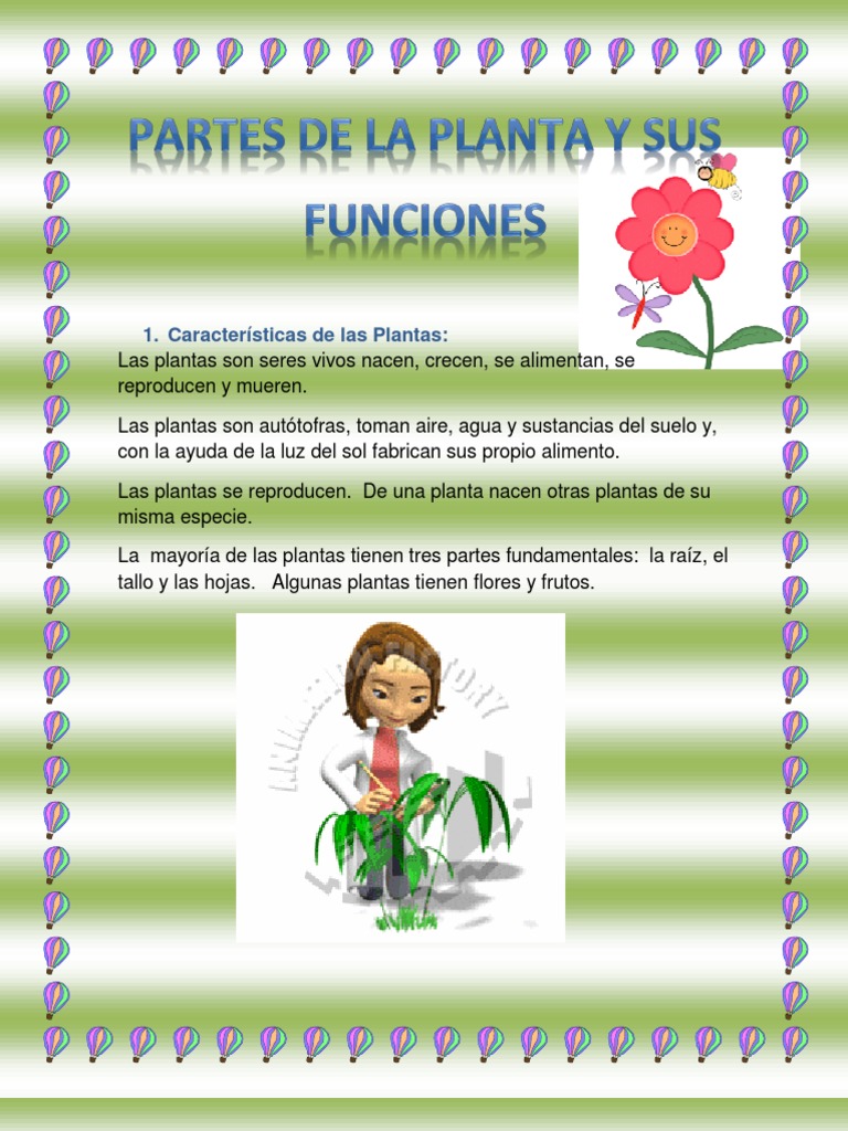 Hoja De Trabajo Sobre Las Partes De Una Planta Y Sus Funciones