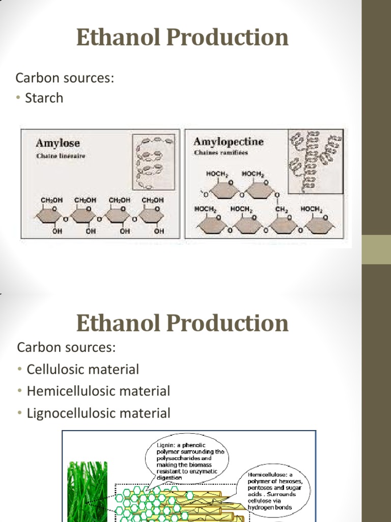 Ethanol Production | PDF | Biomass | Cellulosic Ethanol
