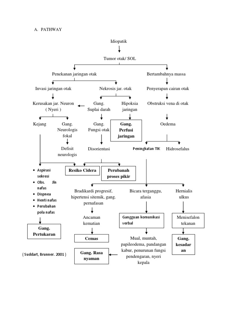 Pathway SOL | PDF | Home & Garden | Wellness