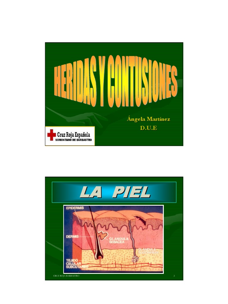 Heridas. Contusiones. Asepsia. Desinfeccion | PDF | Herida | Piel