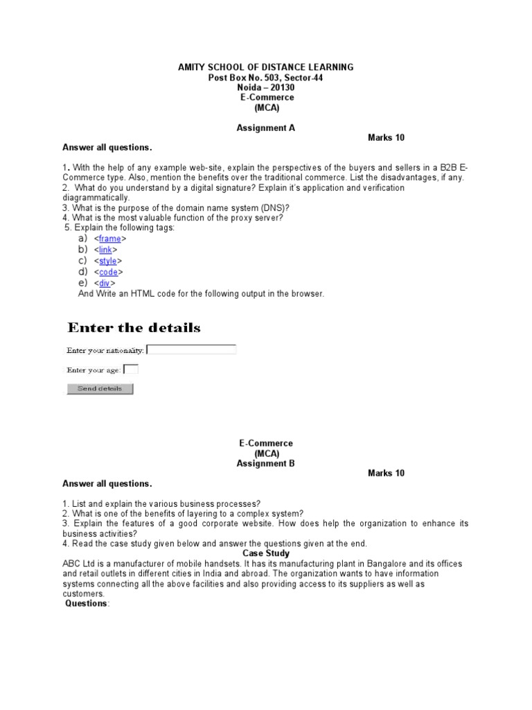 Assignment E Commerce | PDF | Domain Name System | Application Layer Protocols