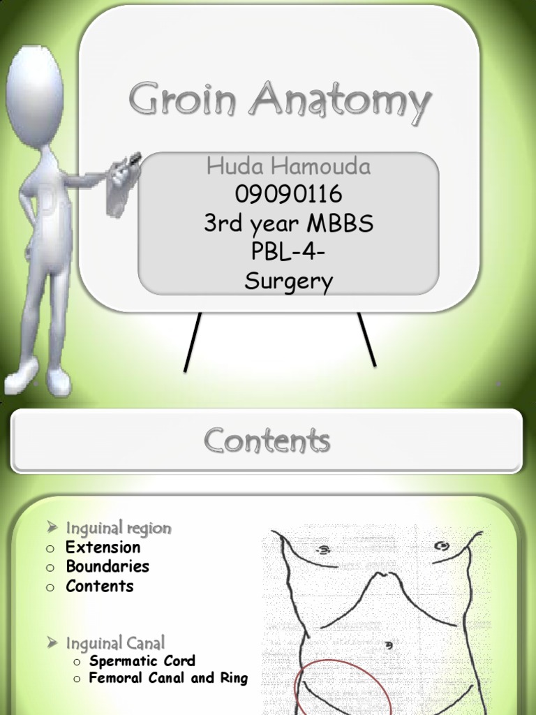 Anatomy of The Groin | PDF
