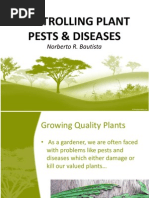 LSU-Ag Planting Guide | PDF | Vegetables | Fertilizer