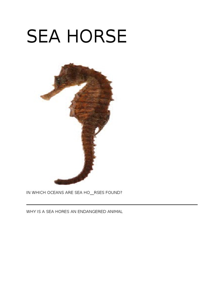Sea Horses: Habitat and Endangerment | PDF