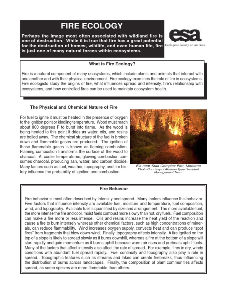 Fire Ecology | PDF | Science & Mathematics | Technology & Engineering
