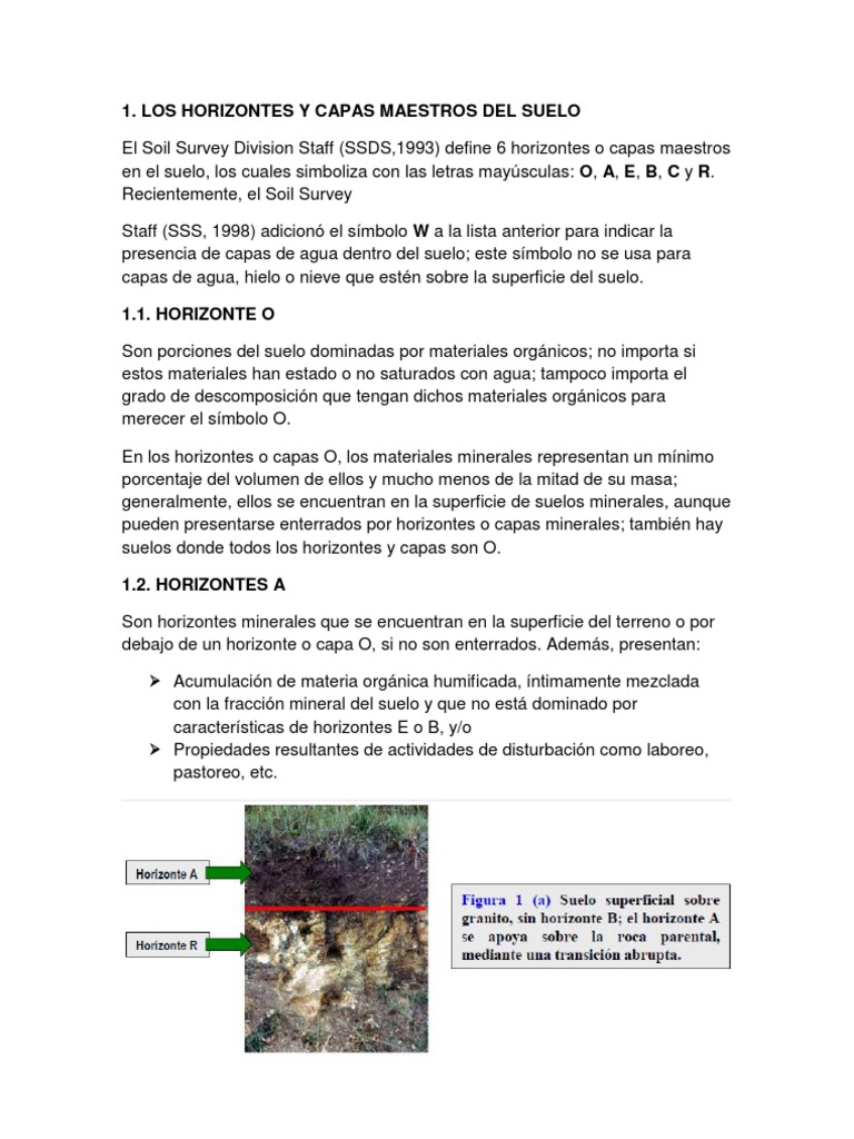 Horizontes y Capas del Suelo | PDF | Meteorización | Suelo