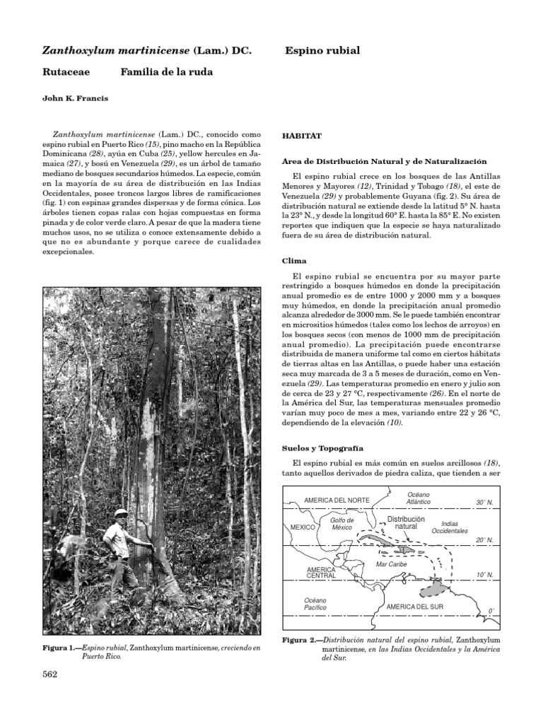Ayua | PDF | Arboles | Germinación