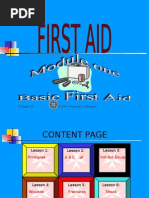 Basic PPT For First Aid Training | PDF | First Aid | Health Care