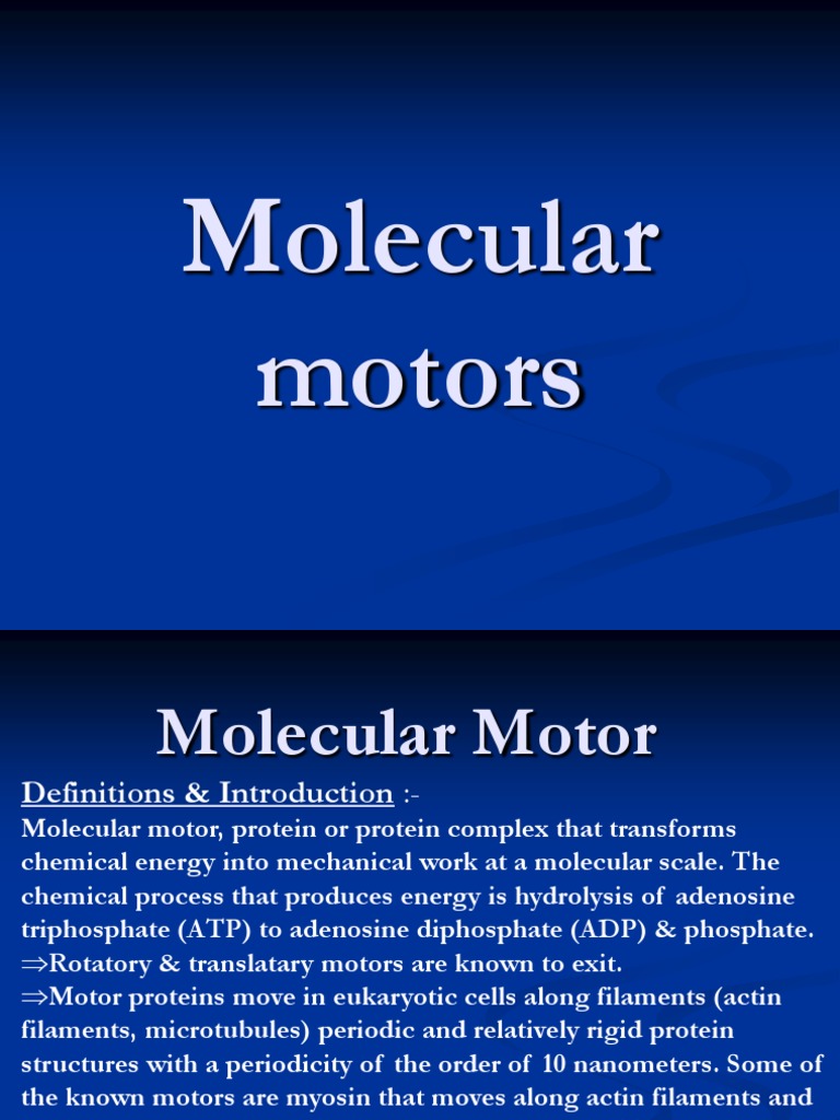 Molecular Motor | PDF | Microtubule | Adenosine Triphosphate