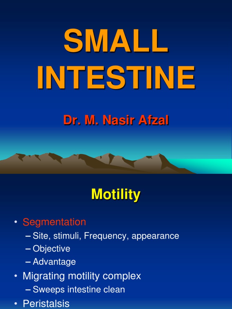 Small Intestine | PDF | Human Gastrointestinal Tract | Digestion