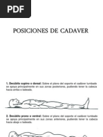 Levantamiento de Cadáver | PDF