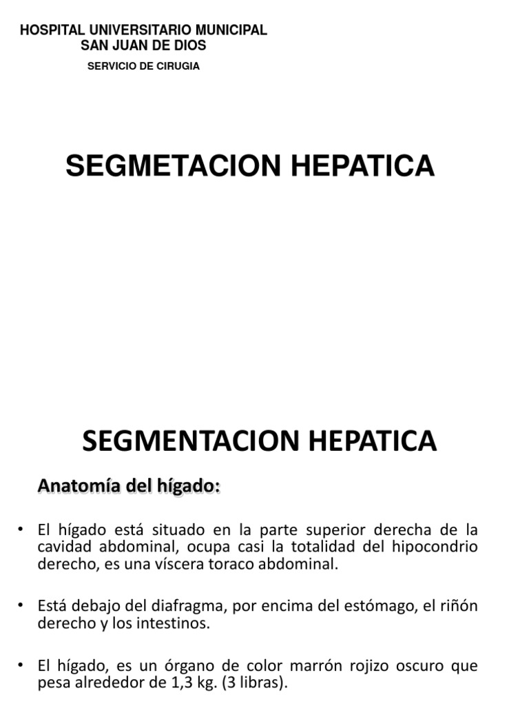 Segmentacion Hepatica Pdf Hígado Abdomen