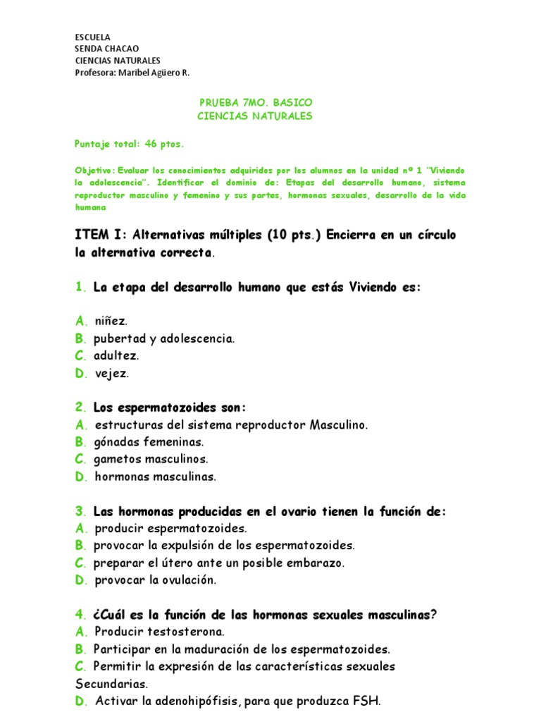 Prueba 7mo. Básico Senda | PDF