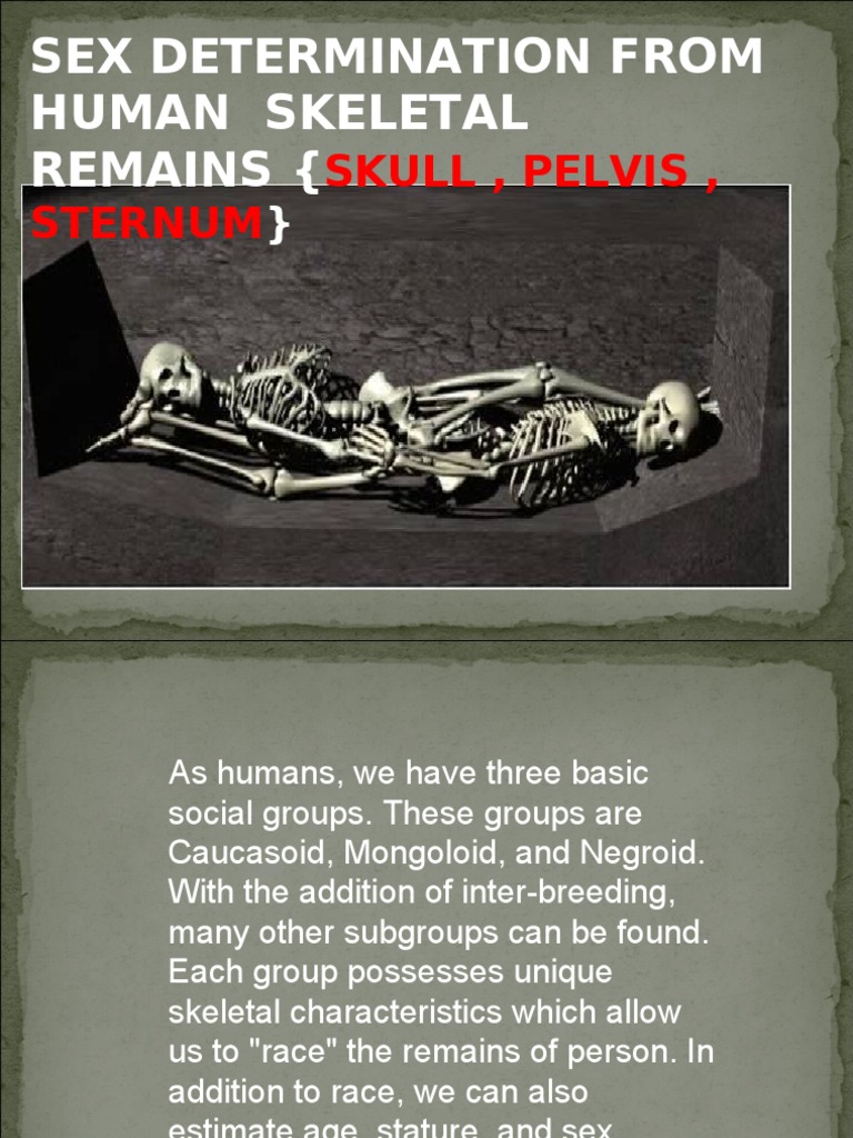 Sex Determination From Skeletal Remains Pdf Pelvis Skull 