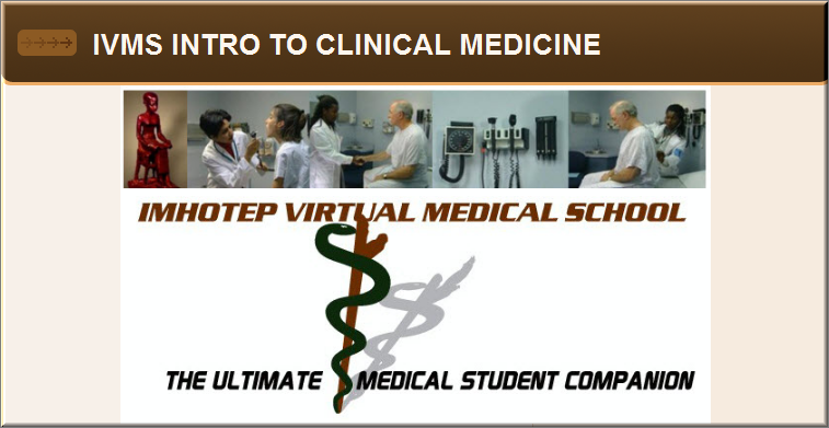 IVMS ICM HX Sample Write-Up | PDF | United States Medical Licensing ...