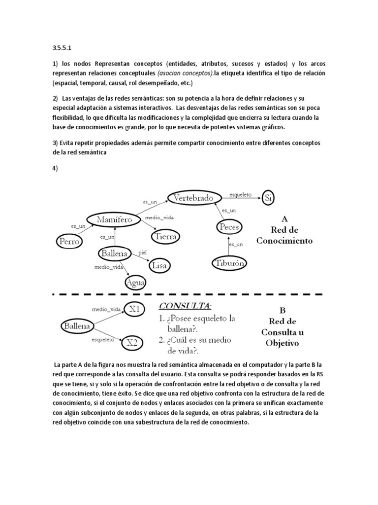 Taller Redes Semanticas | PDF | Áreas de informática | Informática