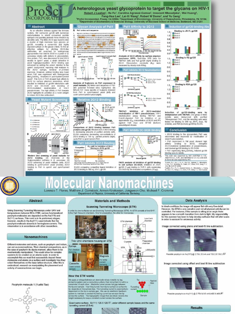 Examples of Research Posters | Meta Analysis | Disability