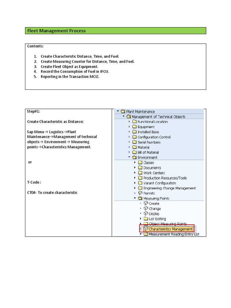 SAP Fleet Management Process Guide | PDF | Energy And Resource | Business