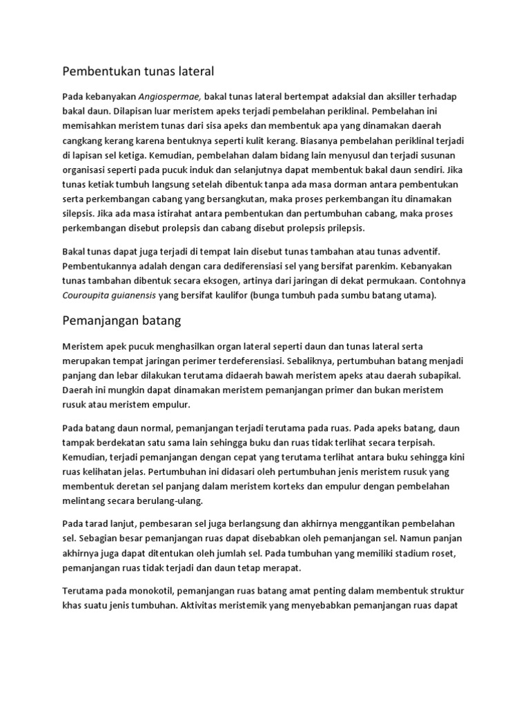 Pembentukan Tunas Lateral | PDF