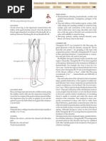 Moisture Associated Skin Damage MASD Pathway Aug 22 | PDF | Dermatitis ...