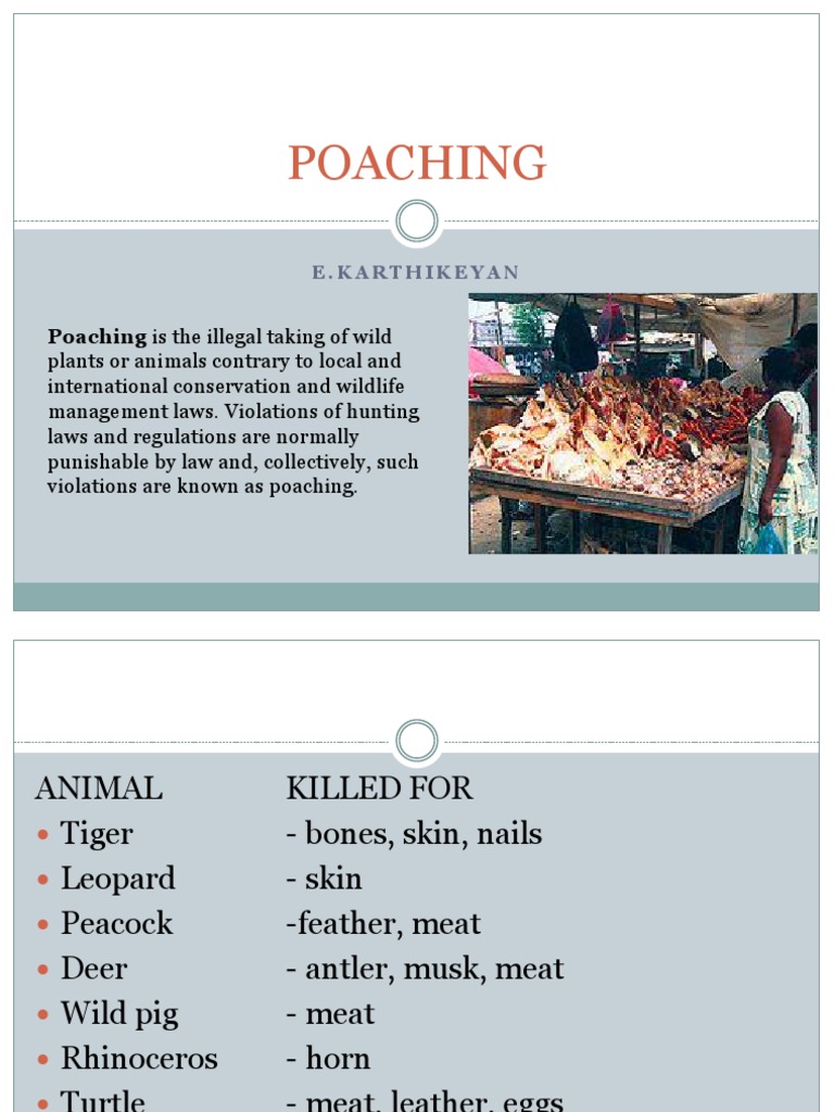 Poaching | Poaching | Hunting | Free 30-day Trial | Scribd