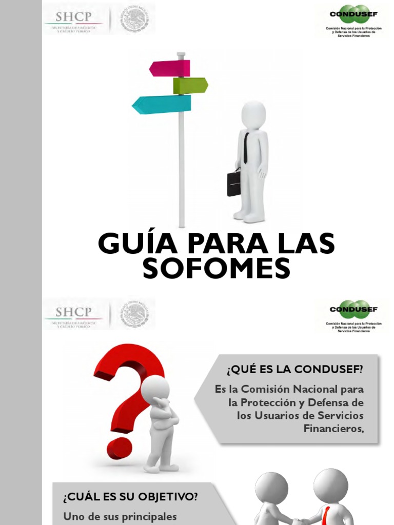 Guia para Sofomes | PDF | Bancos | Interés
