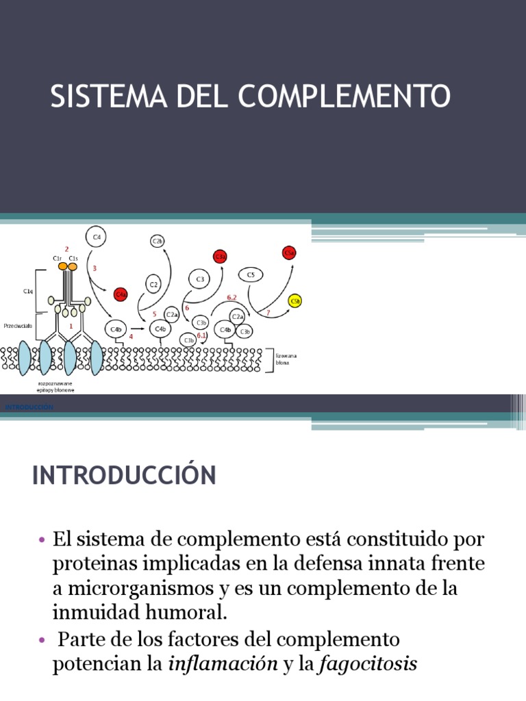 Inmunologia Sistema Del Complemento | PDF | Sistema complementario ...
