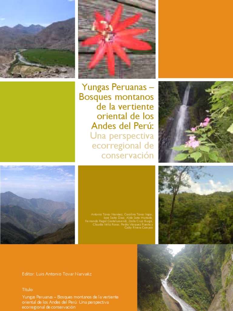 Yungas Peruanas Bosques Montanos de La Vertiente Oriental de Los Andes ...