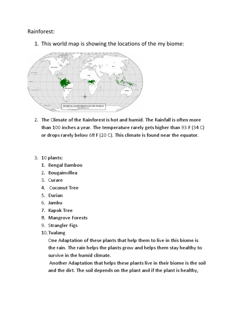 Rainforest Biome: Plants & Animals | PDF