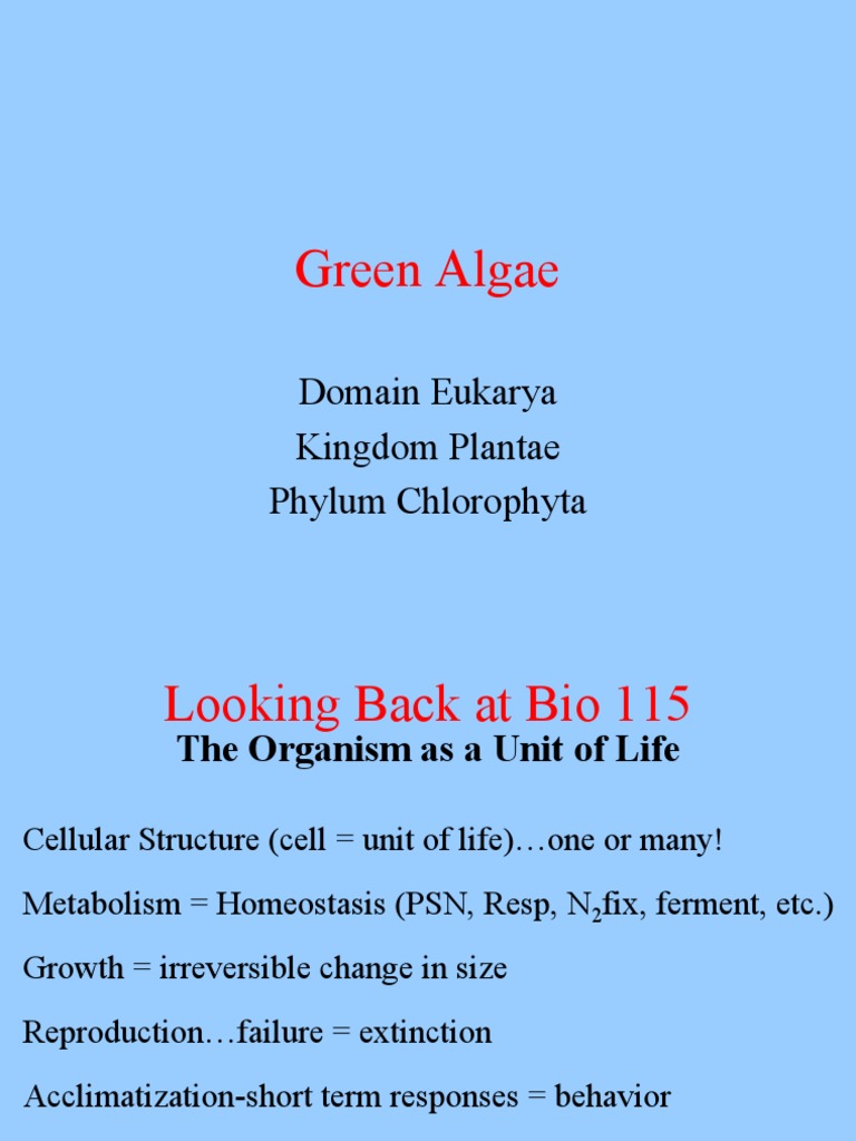 Green Algae: Domain Eukarya Kingdom Plantae Phylum Chlorophyta | PDF ...