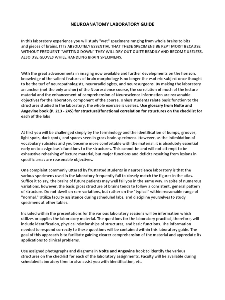Neuroanatomy Laboratory Guide 2011 | PDF | Brainstem | Human Brain