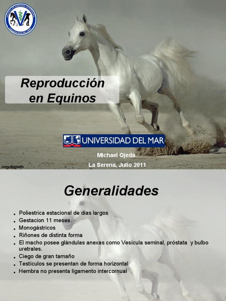 Reproduccion en Equinos | Luteinizing Hormone | Human Chorionic ...