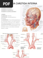 Celda Parotídea y Glandula Parotida RESUMEN | PDF ...