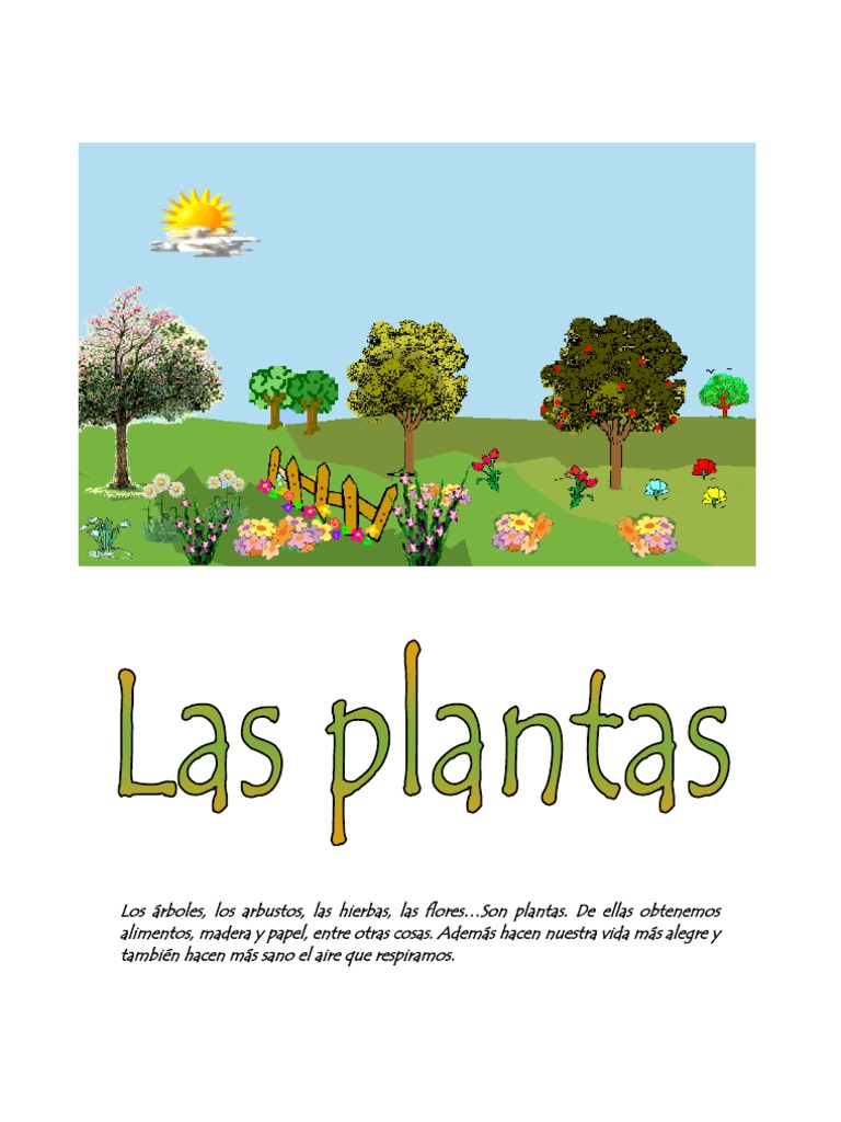 Partes y funciones de las plantas | PDF | Tallo de la planta | Plantas