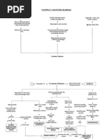 Pathway CA Colon | PDF