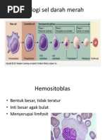 Kristal Amorf dalam Urin dan Penyebabnya | PDF