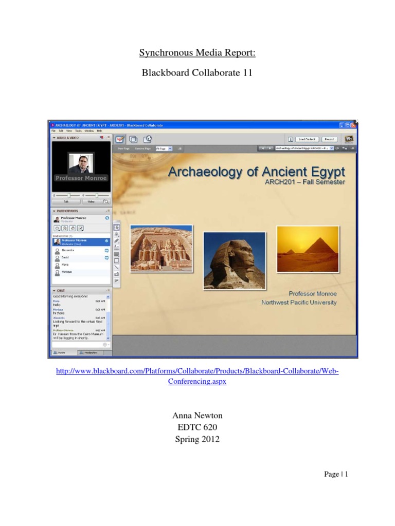 Synchronous Media Report | PDF | Videoconferencing | Inquiry Based Learning