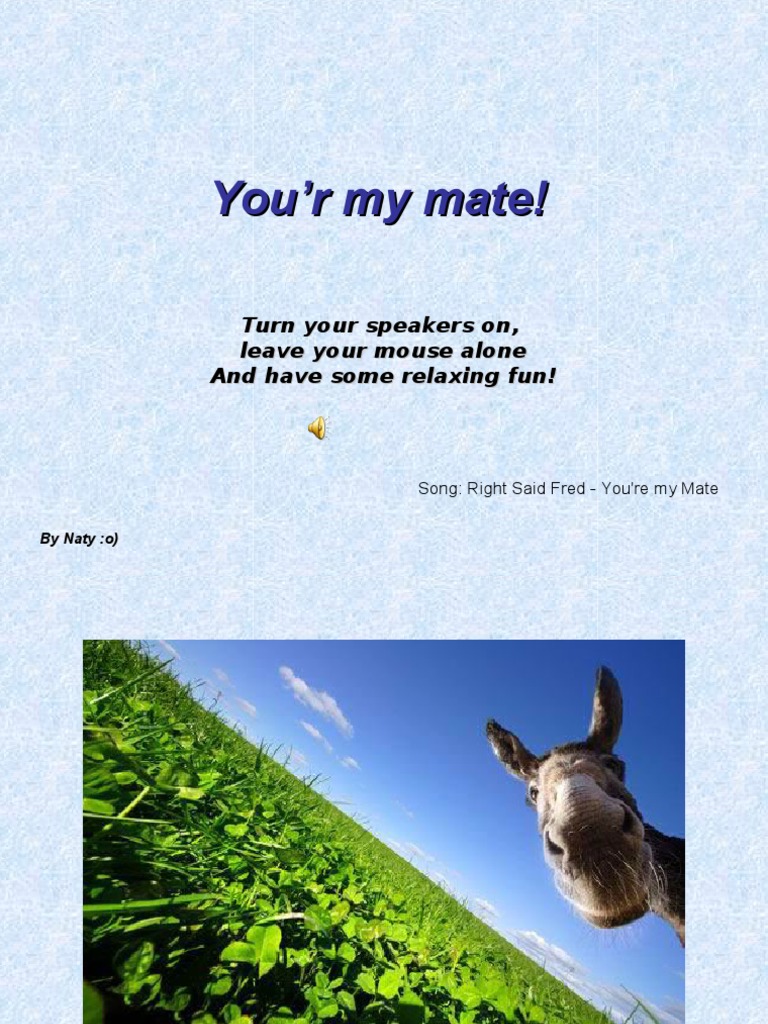 You're My Mate - Song Lyrics | PDF