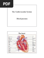 Cardiac Study Guide | PDF | Heart Failure | Cardiac Arrhythmia