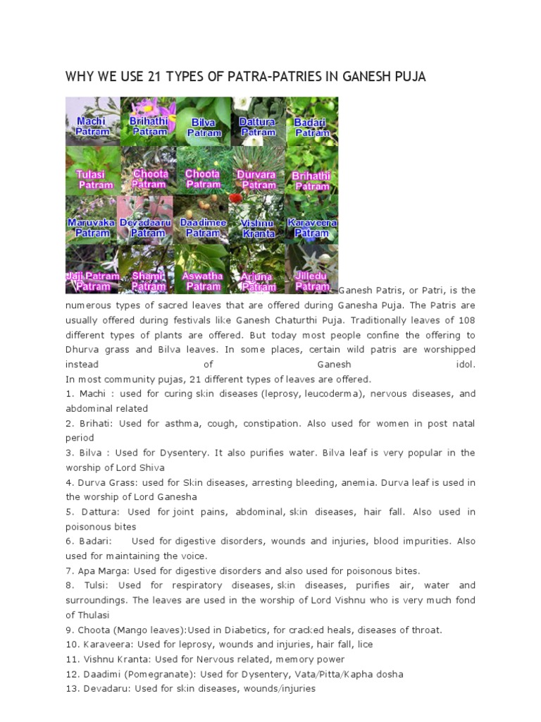 21 Sacred Leaves for Ganesh Puja | PDF | Diseases And Disorders | Medicine