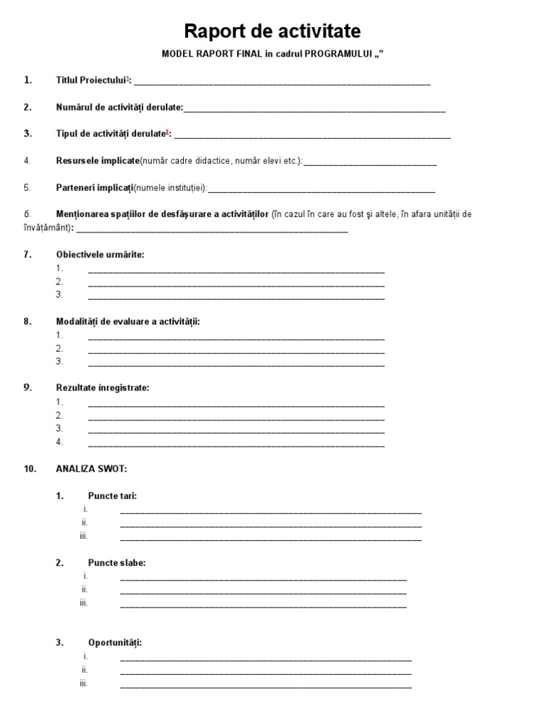Raport de Activitate - Model | PDF