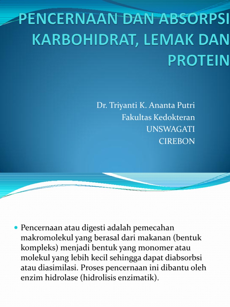 Pencernaan Dan Absorpsi KH, Lipid, Protein Dan Kelainan Pencernaan Dan ...