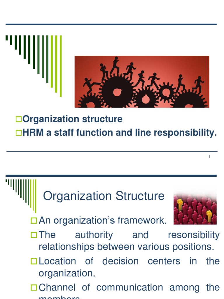 Organization Structure | Download Free PDF | Human Resource Management ...