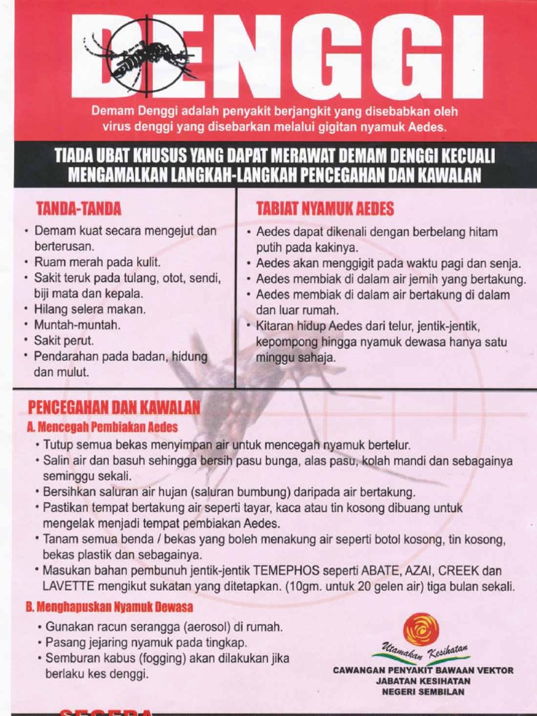 Denggi Poster PDF | PDF | Kesehatan Holistik